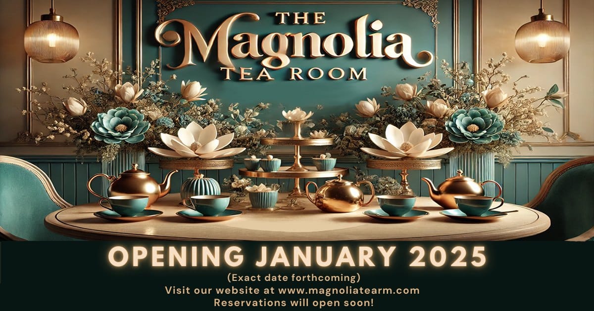 The Magnolia Tea Room Opening in Downtown McDonough